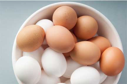 Eggs – Human Nature Natural Health